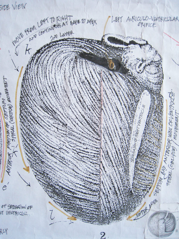 The Layers of the Heart - The Art & Science of Frank Chester
